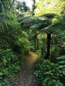 Solve Bush walk jigsaw puzzle online with 63 pieces
