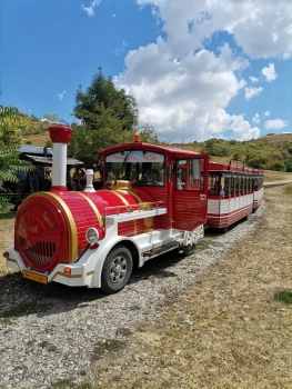 Solve The happy little train jigsaw puzzle online with 154 pieces