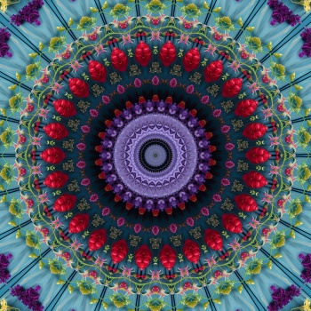 Solve 113 jigsaw puzzle online with 600 pieces