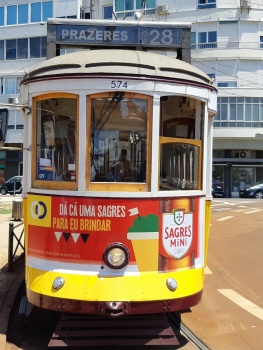 Solve 20230524_132708 jigsaw puzzle online with 88 pieces