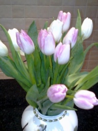 Jigsaw Puzzle Categories | Page 110 | Jigidi.com