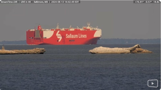 Solve RoRo Silver Glory by the White Rocks, Baltimore jigsaw puzzle ...