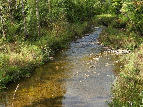Solve A small stream with sunlight and shadows jigsaw puzzle online ...