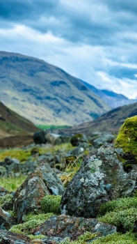 Solve Mossy rocks in Scottish Highlands jigsaw puzzle online with 45 pieces