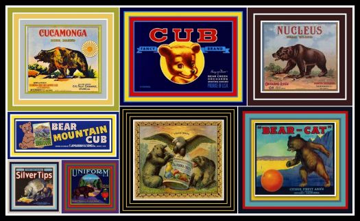 Solve Theme - Forest Animals - Vintage Fruit Crate Label with Bears ...