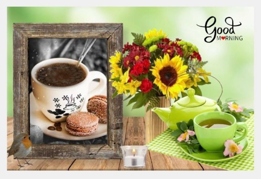 Solve good morning jigsaw puzzle online with 88 pieces