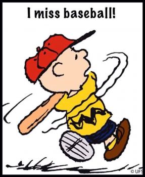 Solve I REALLY miss baseball! jigsaw puzzle online with 120 pieces