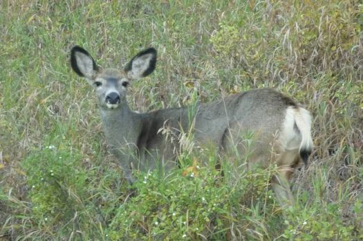 Solve Almost close enough to touch ! jigsaw puzzle online with 77 pieces