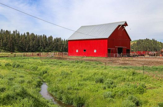 Solve RED BARN...GREEN PASTURE jigsaw puzzle online with 96 pieces