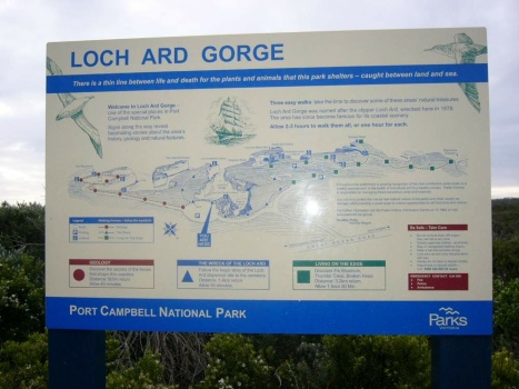 Solve Loch Ard Gorge jigsaw puzzle online with 12 pieces