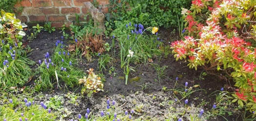Solve 20230413_Spring on its way!! jigsaw puzzle online with 200 pieces