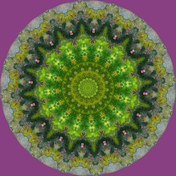 Solve #1 small jigsaw puzzle online with 64 pieces