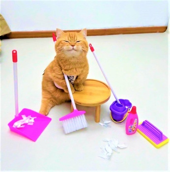 Solve Janitor jigsaw puzzle online with 9 pieces