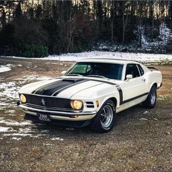 Solve FORD MUSTANG BOSS 302 jigsaw puzzle online with 225 pieces