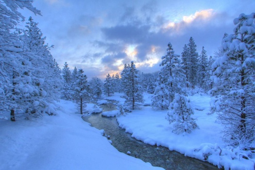Jigsaw Puzzle | 96 pieces | Winter Wonderland | Jigidi