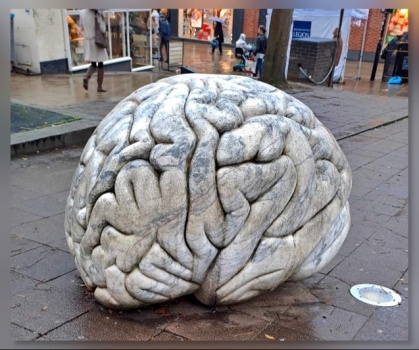 Solve Big Brain jigsaw puzzle online with 9 pieces