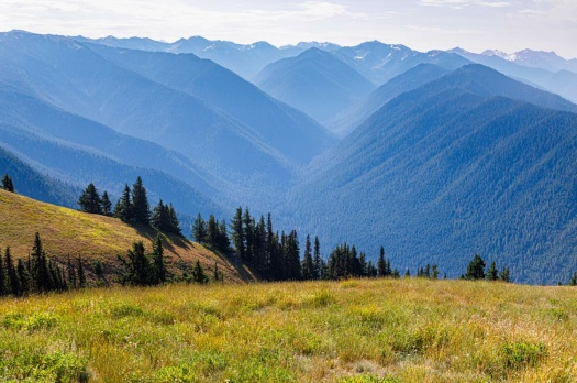 Solve VIEW FROM HURRICAN RIDGE jigsaw puzzle online with 77 pieces