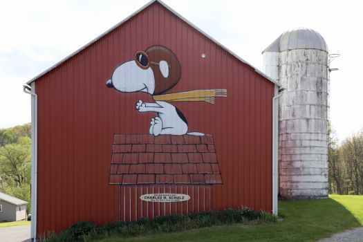 Solve The Red Baron (Snoopy Barn) jigsaw puzzle online with 77 pieces