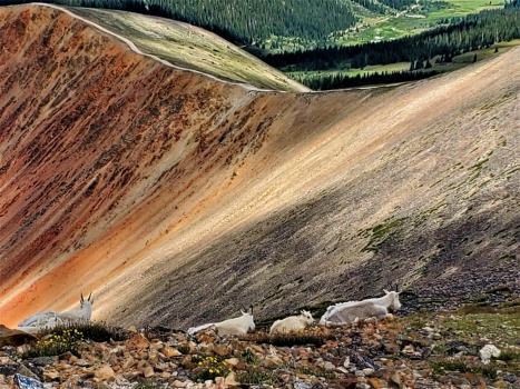Solve Red Cone Pass Colorado jigsaw puzzle online with 80 pieces