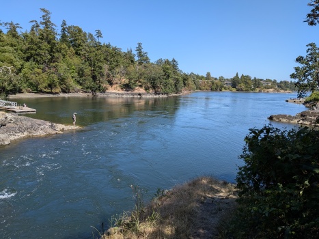 Solve Gorge Narrows Victoria BC jigsaw puzzle online with 176 pieces