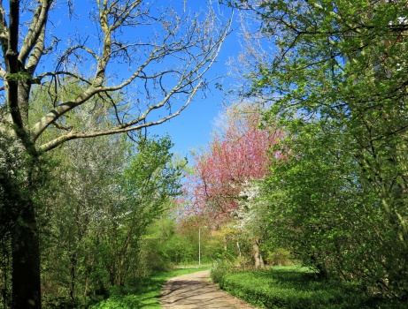 Solve on my walk today jigsaw puzzle online with 63 pieces