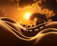 Ai puzzles | Page 7649 | Jigidi.com