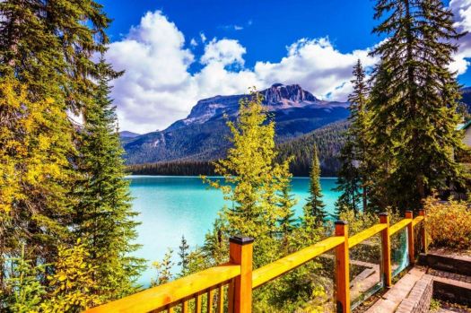 Solve Ahh! Peace and Quiet 15 jigsaw puzzle online with 126 pieces