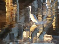 Ai puzzles | Page 7247 | Jigidi.com