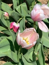 Jigsaw puzzle categories | Page 29 | Jigidi.com