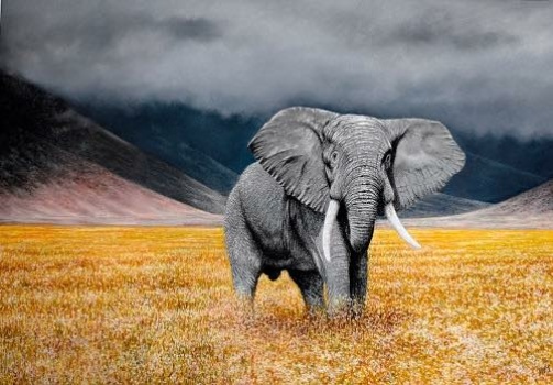 Solve African Elephant in the Ngorongoro Crater jigsaw puzzle online ...