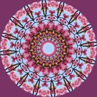 Free online jigsaw puzzles | Page 2 | Jigidi.com