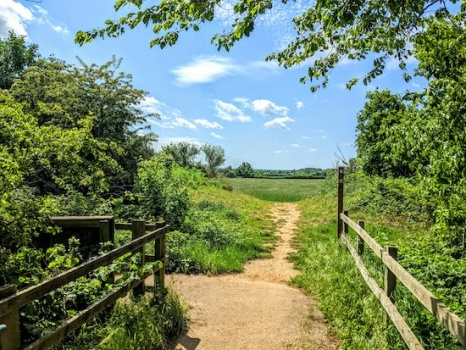 Solve Country scene jigsaw puzzle online with 63 pieces