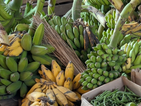 Solve Bananas jigsaw puzzle online with 300 pieces