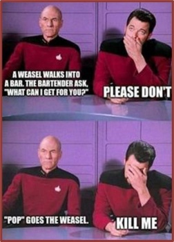 Solve Number One Has A Rough Life with Picard Since He Entered His Pun ...