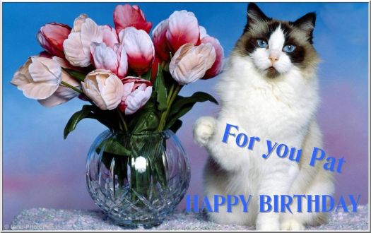 Happy Birthday Pat Flowers