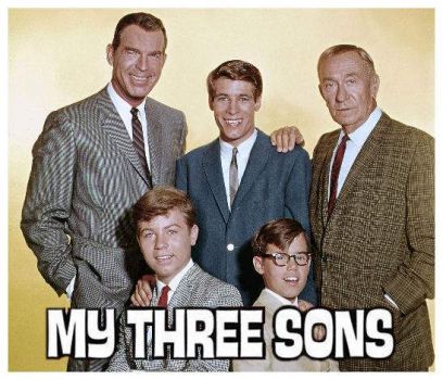 Solve My Three Sons jigsaw puzzle online with 20 pieces
