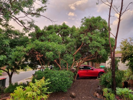 Solve Not Long After jigsaw puzzle online with 48 pieces