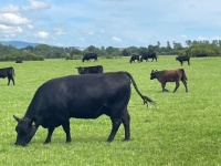 Jigsaw puzzle creator porgy » Play one of my 1393 free puzzles at Jigidi