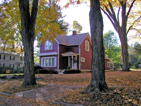 Solve Fall Colors in Michigan jigsaw puzzle online with 192 pieces