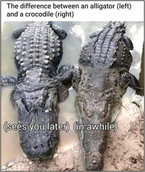 Solve See Ya Later, Alligator! After 'While, Crocodile! jigsaw puzzle ...