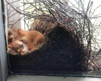 Jigsaw Puzzle Categories | Page 93 | Jigidi.com