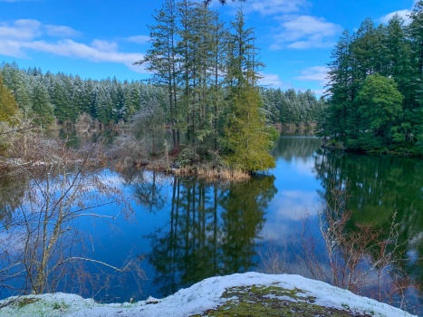 Solve A dusting of snow on beautiful Thetis Lake jigsaw puzzle online ...