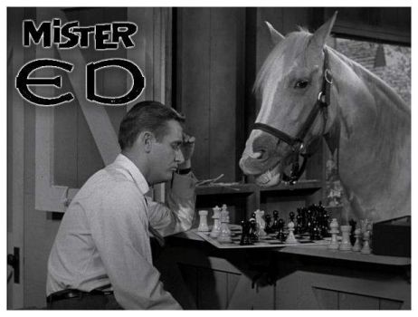 Solve Mister Ed jigsaw puzzle online with 30 pieces