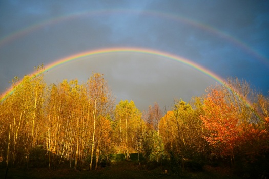 Solve double rainbow jigsaw puzzle online with 198 pieces