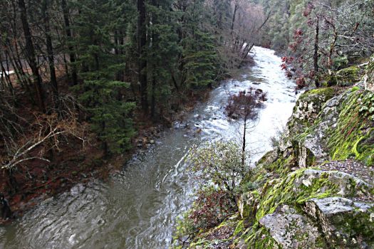 Solve Shasta Trinity National Park jigsaw puzzle online with 117 pieces