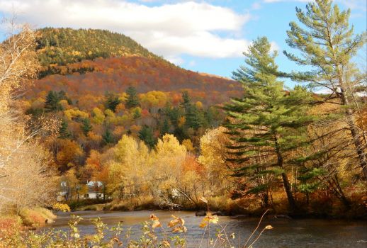 Solve Autumn Along the River jigsaw puzzle online with 96 pieces