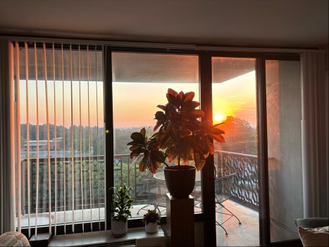 Solve Morning sun through my balcony window jigsaw puzzle online with ...