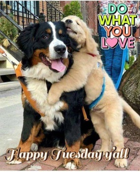 Solve Good Morning - Happy Tuesday! jigsaw puzzle online with 63 pieces