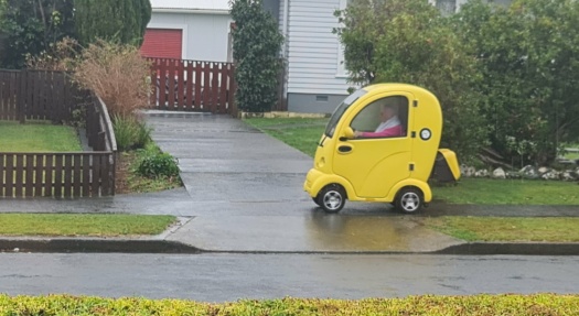 Solve Cute mobility vehicle with Granny at the wheel jigsaw puzzle ...