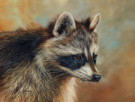 Solve "Raccoon" jigsaw puzzle online with 30 pieces